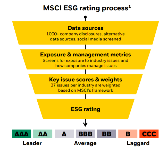 Sustainable investing & MSCI ESG ratings | BlackRock